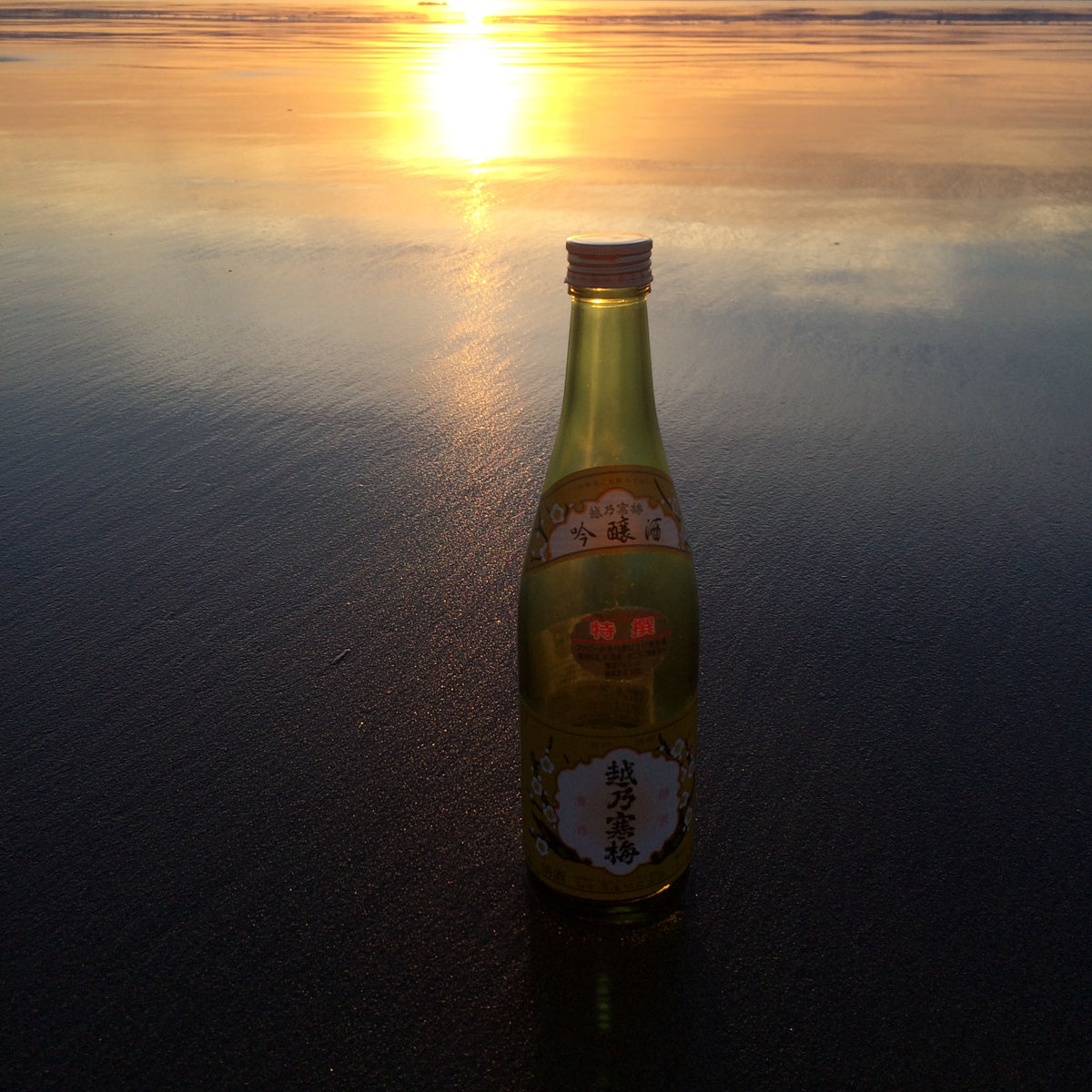 True Gold – Annual Japanese Sake Awards 2021 — True Sake